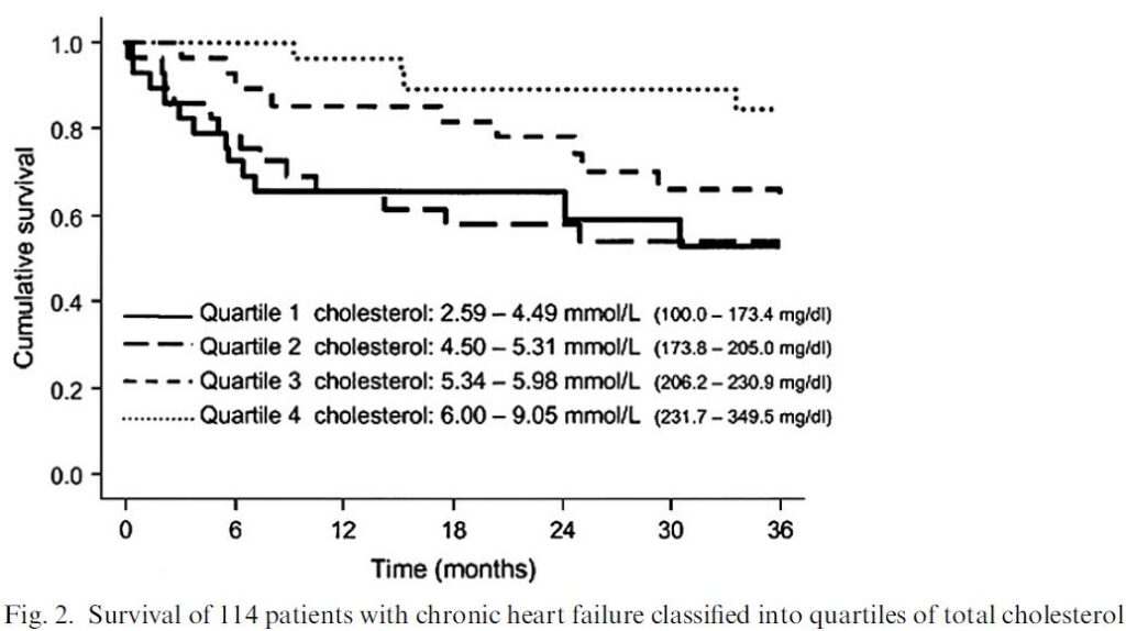 Kolesteroli ja ikääntyminen – Turpaduunari